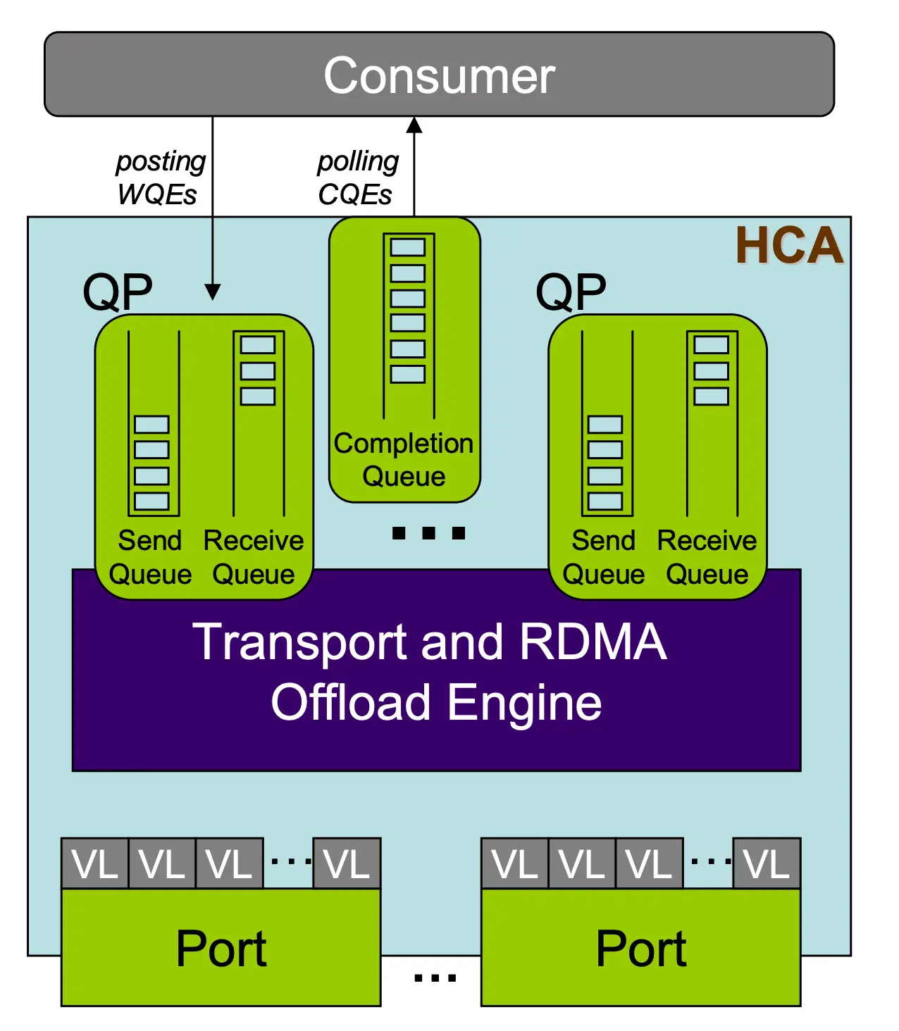 高性能网络 - ZJUSCT 文档与博客